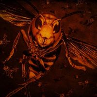 The Murder Hornet Project Albums, Songs - Discography - Album of The Year
