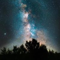 Ptasinski Albums, Songs - Discography - Album of The Year