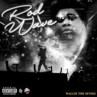 Wallie the Sensei Albums, Songs - Discography - Album of The Year