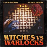 DJ Shadow Albums, Songs - Discography - Album of The Year