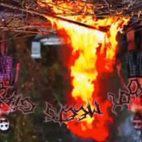 Scrim Albums, Songs - Discography - Album of The Year