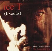 Ice-T Albums, Songs - Discography - Album of The Year