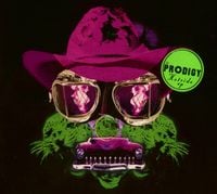 The Prodigy Albums, Songs - Discography - Album of The Year