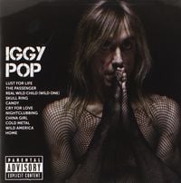 Iggy Pop Albums, Songs - Discography - Album of The Year