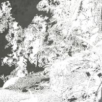 Static Disc - Label - Album of The Year