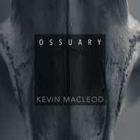 Kevin MacLeod Albums, Songs - Discography - Album of The Year