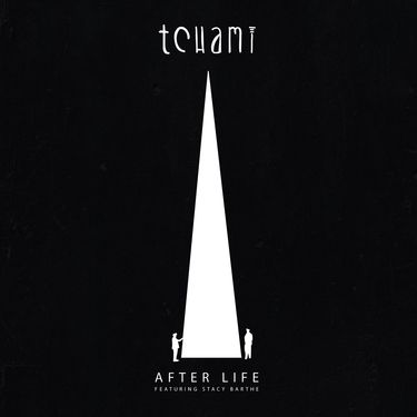 Tchami - After Life (Single) - Reviews - Album of The Year
