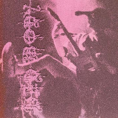 Worry Club - DEDBODY - Reviews - Album of The Year