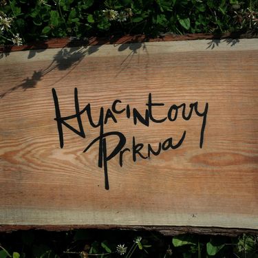 Hyacintovy Prkna - Hyacinth Girl (EP) - Reviews - Album of The Year