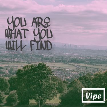 Vipe - You Are What You Will Find - Reviews - Album of The Year