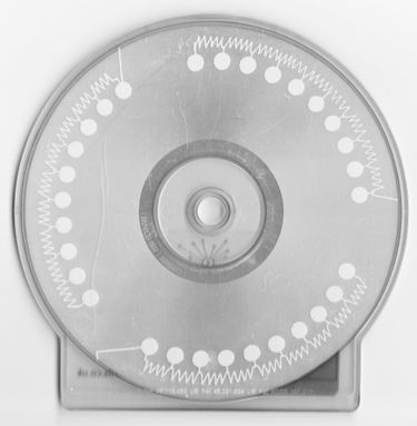 Weevil - Weevil - Reviews - Album of The Year