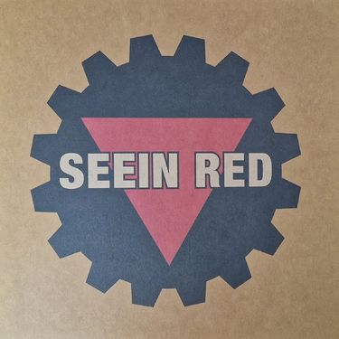 Seein Red - Past, Present, (In)tense - Reviews - Album of The Year