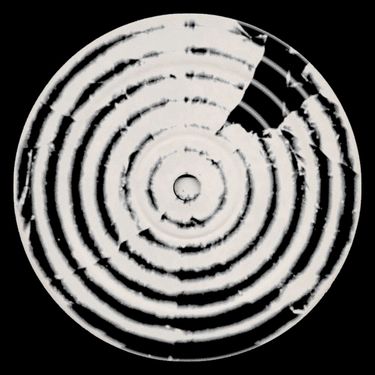 SLOE JACK - JUMP OUT THE WINDOW - Reviews - Album of The Year
