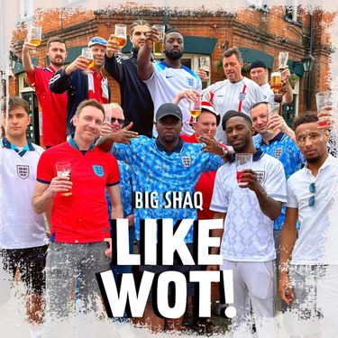 Big Shaq - Like Wot! (Single) - Reviews - Album of The Year