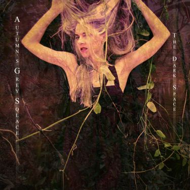 Autumn's Grey Solace - The Dark Space - Reviews - Album of The Year