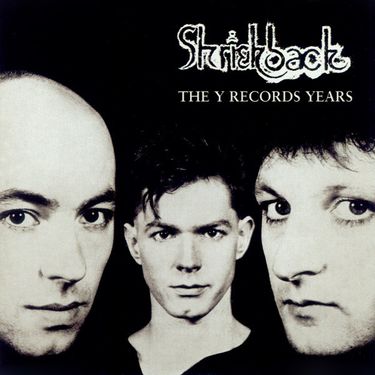 Shriekback - The Y Records Years (Compilation) - Reviews - Album of The ...