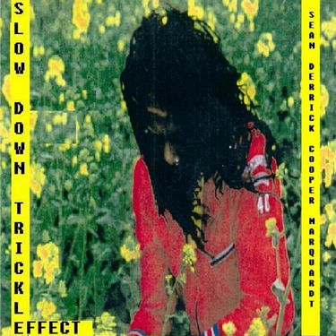 Sean Derrick Cooper Marquardt - The Slow Down Trickle Effect - Reviews ...