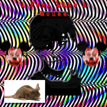 geronimostilton - I FEEL LIKE A MOUSE 5 (EP) - Reviews - Album of The Year