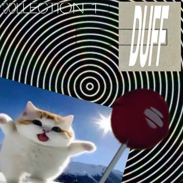 Duff! - Collection 1 - Reviews - Album of The Year