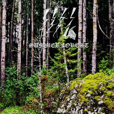 Goatmoon & Dead Reptile Shrine - Summerforest (EP) - Reviews - Album of ...