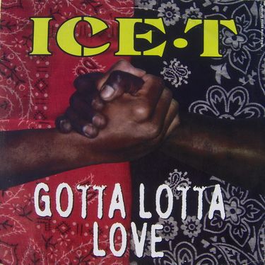 Ice-T - Gotta Lotta Love - Reviews - Album of The Year