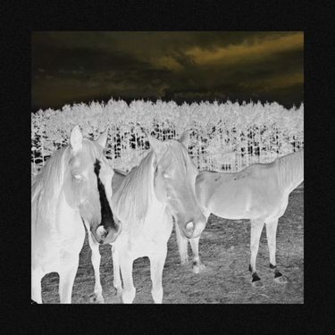 Lady Kabela - 7-sadie mae remaster.wav - Reviews - Album of The Year