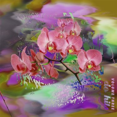 Various Artists - Do Hits Vol.3 - Reviews - Album of The Year
