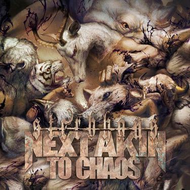 Sterbhaus - Next Akin To Chaos - Reviews - Album of The Year