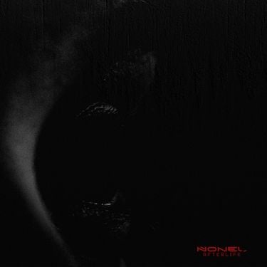 Nonel - Afterlife (Single) - Reviews - Album of The Year