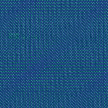 Florian Hecker - Natural Selection - Reviews - Album of The Year