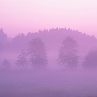 Terkoiz - Fog (Single) - Reviews - Album of The Year