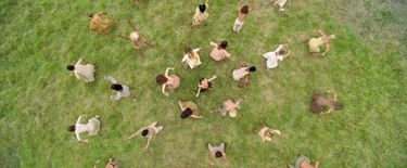 Lorde - The Path (Music Video) - Reviews - Album of The Year