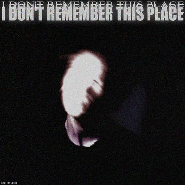 stellarizing - I DON'T REMEMBER THIS PLACE - Reviews - Album of The Year