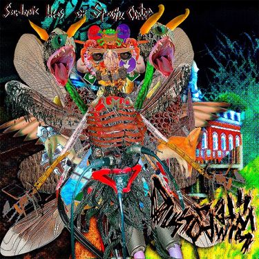 Dissordawtisms - Sardonic Ideas of Spastic Contempt - Reviews - Album ...