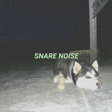 Snare Noise - Symphonia IX (My Wait Is U) Cover (Single) - Reviews ...