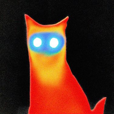 Basement - WIRED - Reviews - Album of The Year