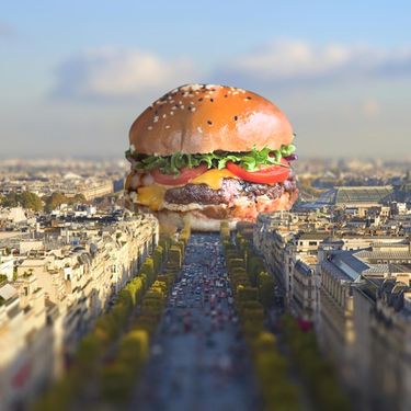 Disposable Planet - Cheeseburger Avenue Deluxe (M8 Version) (Single ...