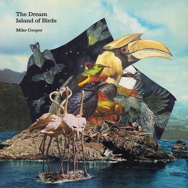 Mike Cooper - The Dream Island of Birds (Reissue) - Reviews - Album of ...