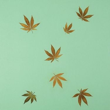 Hype Williams - [untitled] - Reviews - Album of The Year