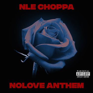NLE Choppa - Nolove Anthem (Single) - Reviews - Album of The Year