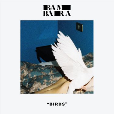 BAMBARA - Birds - Reviews - Album of The Year