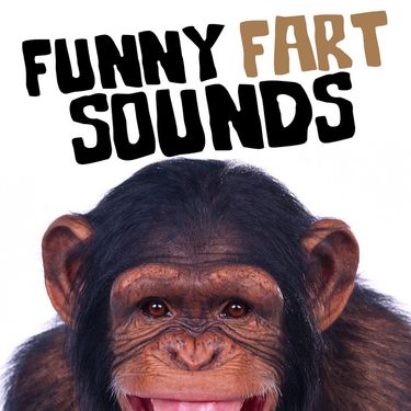 Fart Sound Effects - Funny Fart Sounds - Reviews - Album of The Year