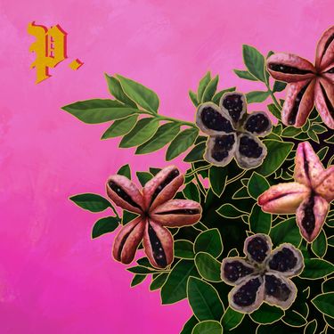 Proper. - Part-Timer (EP) - Reviews - Album of The Year