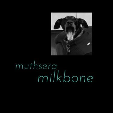 Muthsera - Milkbone (Single) - Reviews - Album of The Year