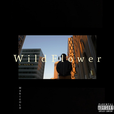 Marigold - WildFlower (EP) - Reviews - Album of The Year