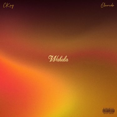 CKAY & Olamide - Wahala - Reviews - Album of The Year