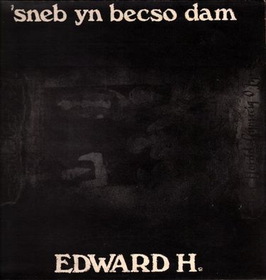 Edward H. Dafis - 'Sneb Yn Becso Dam - Reviews - Album of The Year