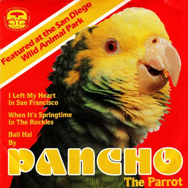 Pancho - Pancho the Parrot - Reviews - Album of The Year