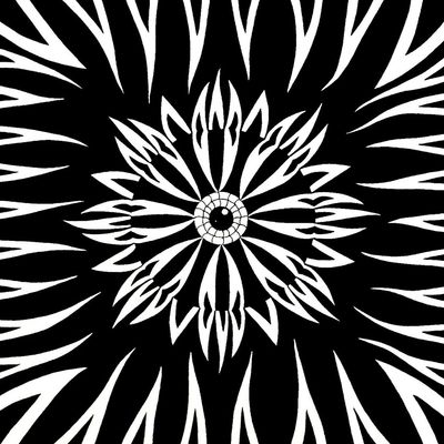 Ptasinski Albums, Songs - Discography - Album of The Year