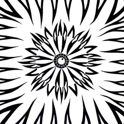 Ptasinski Albums, Songs - Discography - Album of The Year